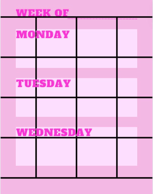 All Pink Back to School Reusable Planner for Teachers and Students K-12 ...