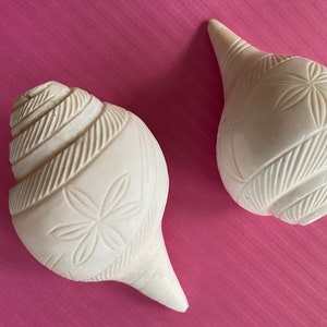 Large White Conch Nautical Decorative Accent Beach Themed Decor Wedding ...