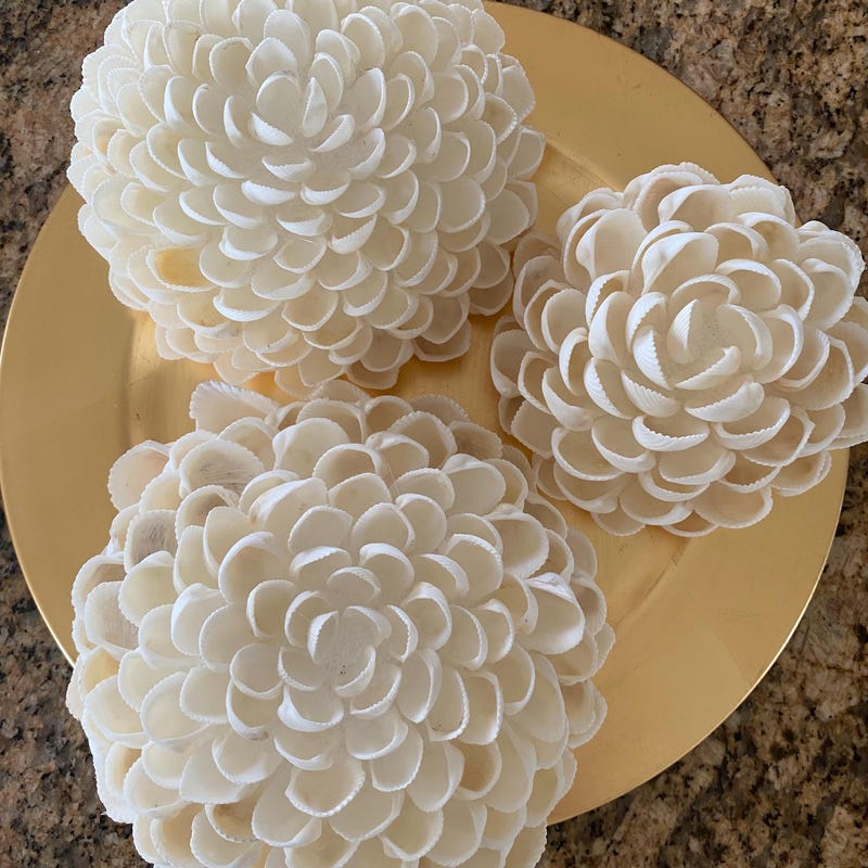 Shell Arrangements - Etsy