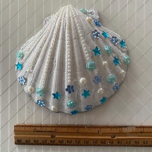 Large 5 in Decorated Scallop Shell for Gifts Favors and Centerpiece at ...