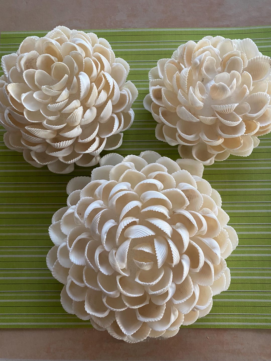 Shell Flower With White Shells Handcrafted Zinnia Shell Flower ...