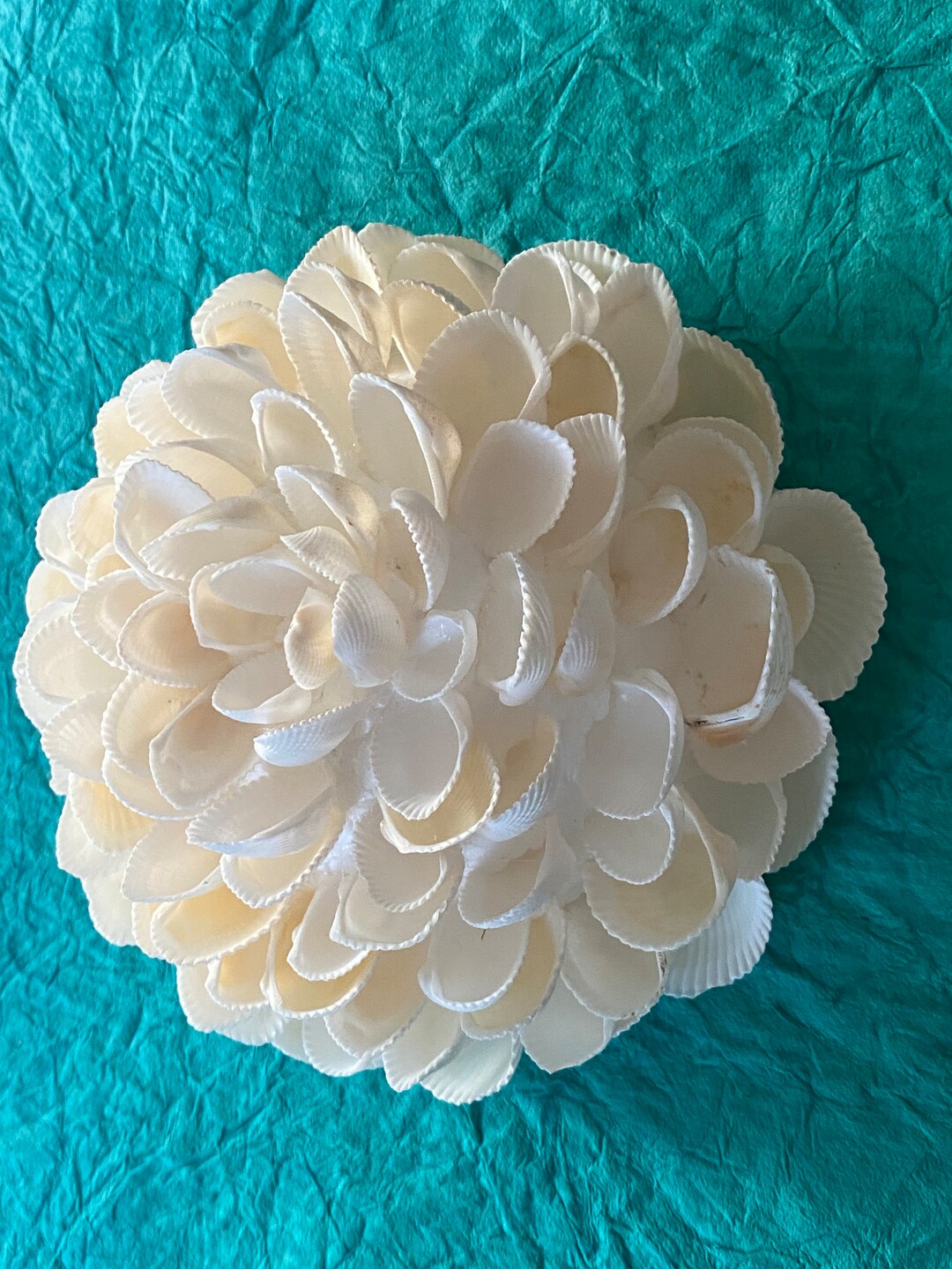 Shell Flower With White Shells Handcrafted Zinnia Shell Flower ...