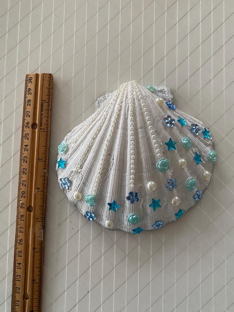 Large 5 in Decorated Scallop Shell for Gifts Favors and Centerpiece at ...