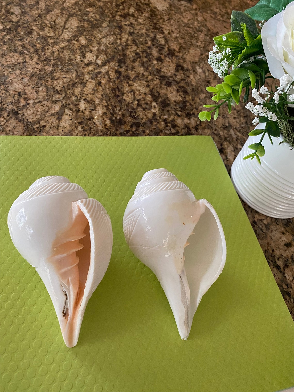 Large White Conch Nautical Decorative Accent Beach Themed Decor Wedding ...