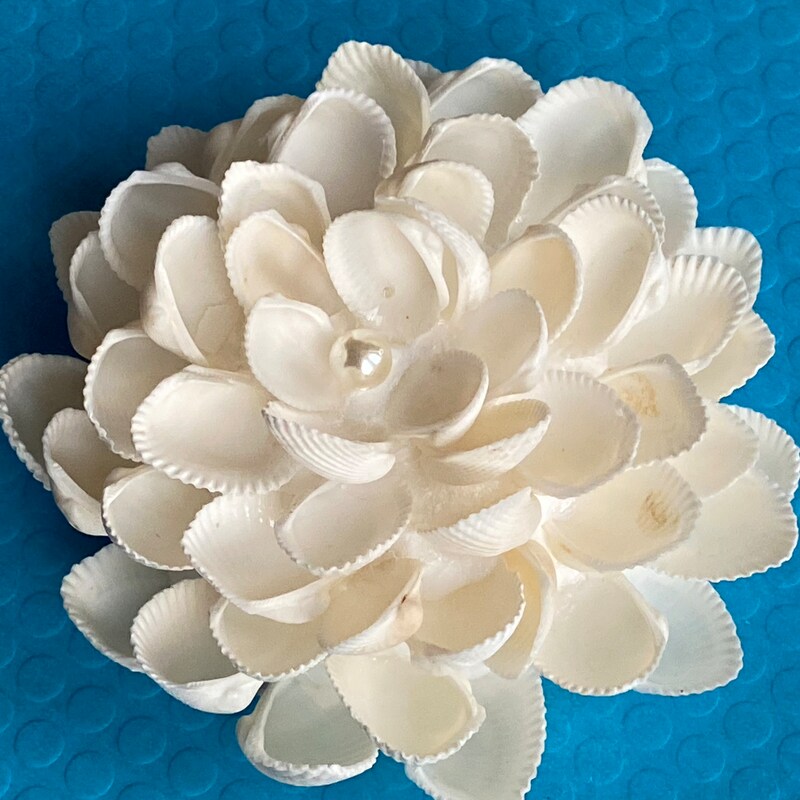 Shell Arrangements - Etsy