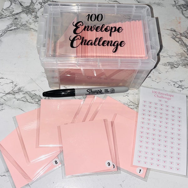 100 Envelope Challenge Kit - Etsy