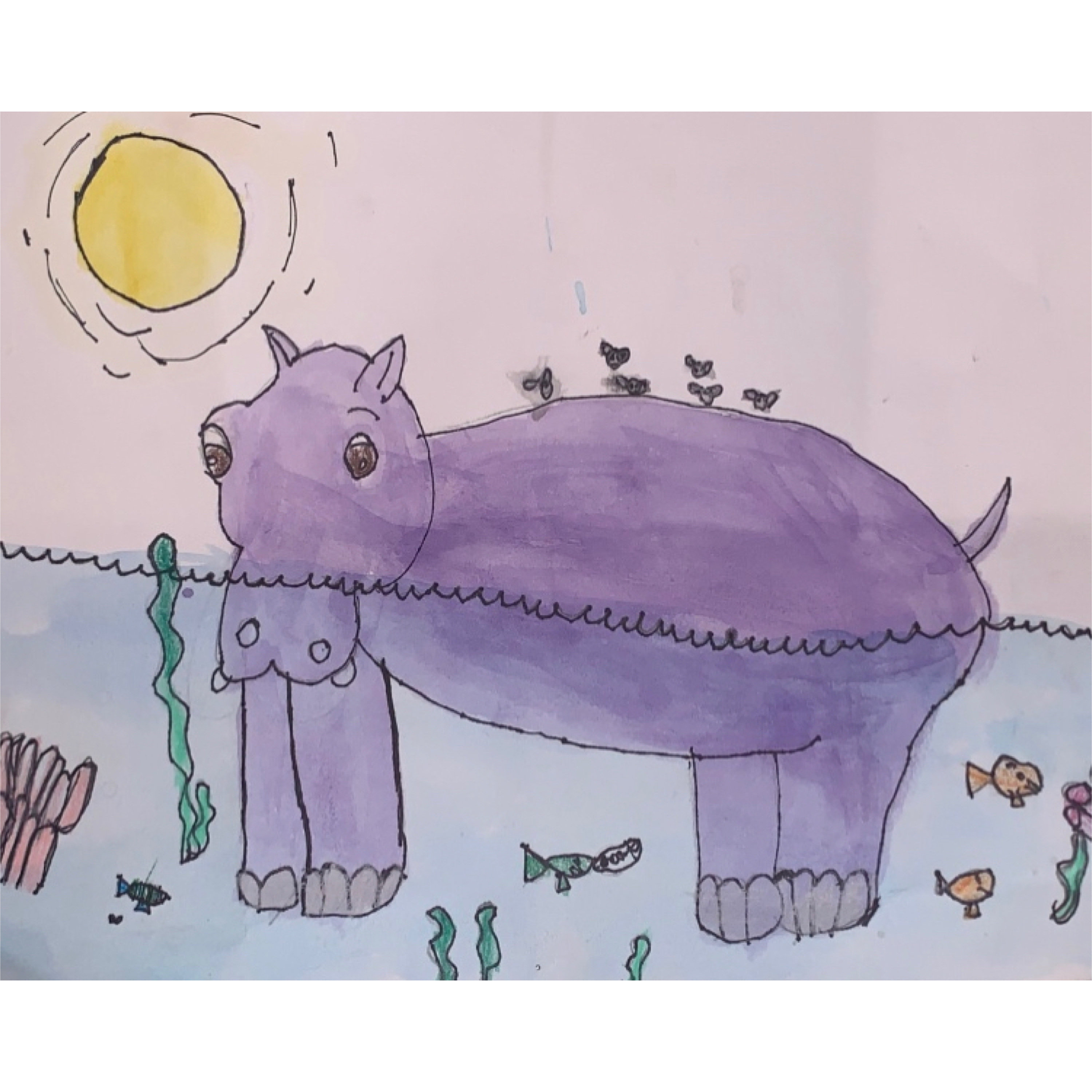 Hippo In Water Drawing