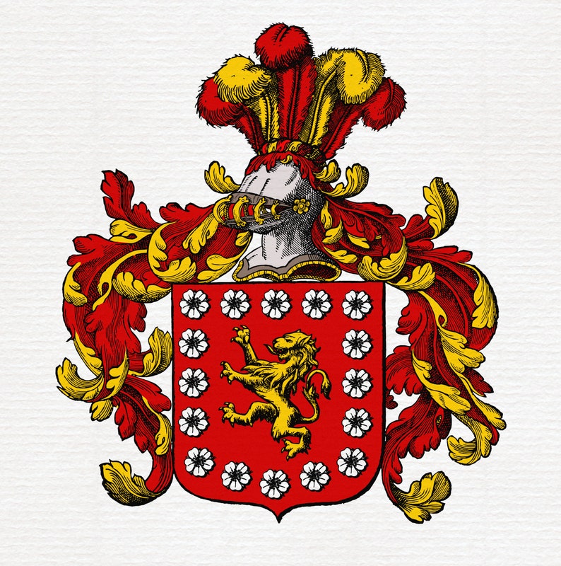 Custom COAT OF ARMS 17th Century Engraving Looking Many Heraldic ...