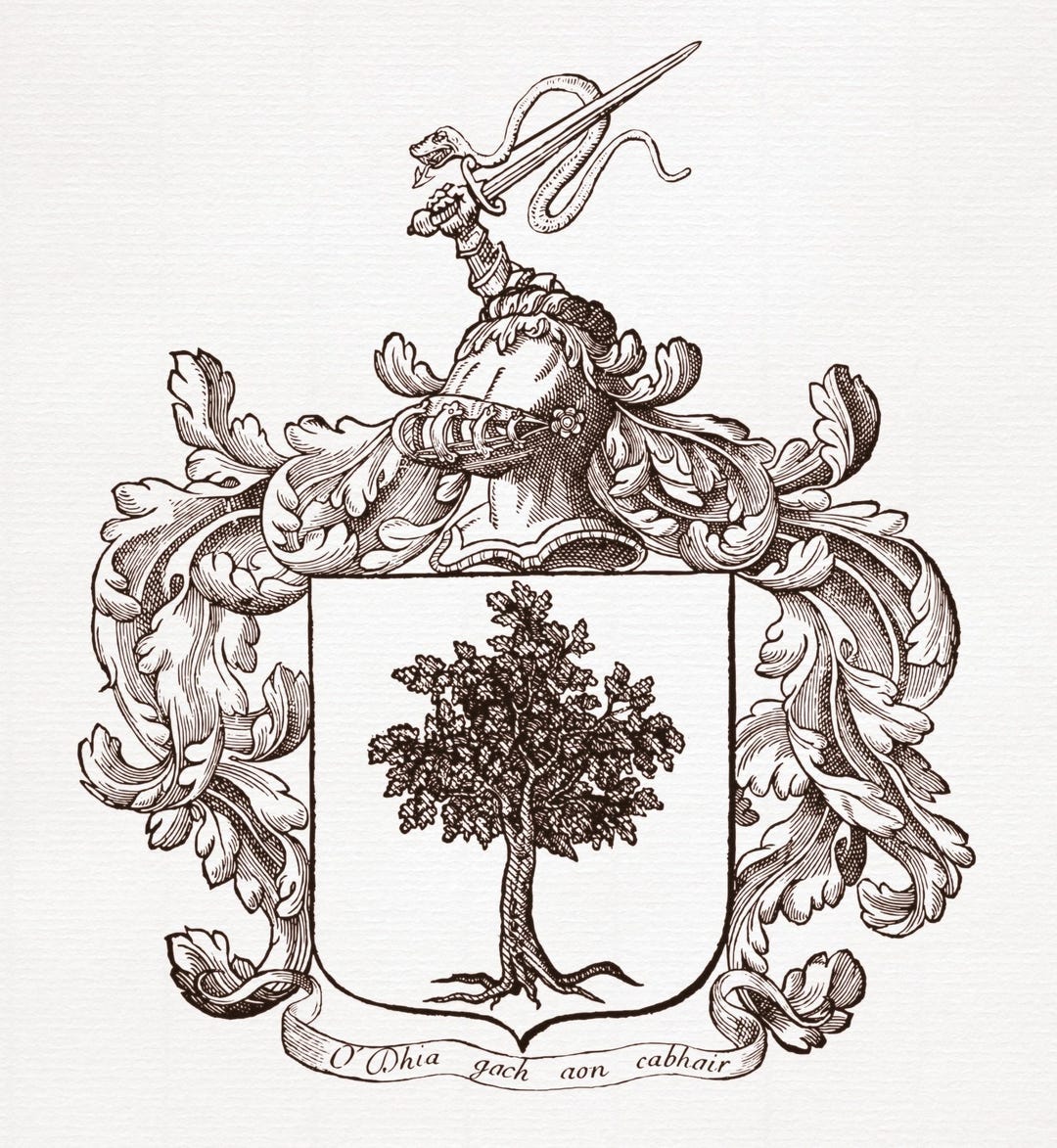 O'CONNOR - Conor Conner Connor O'conner Connaught - Clan Coat of Arms ...