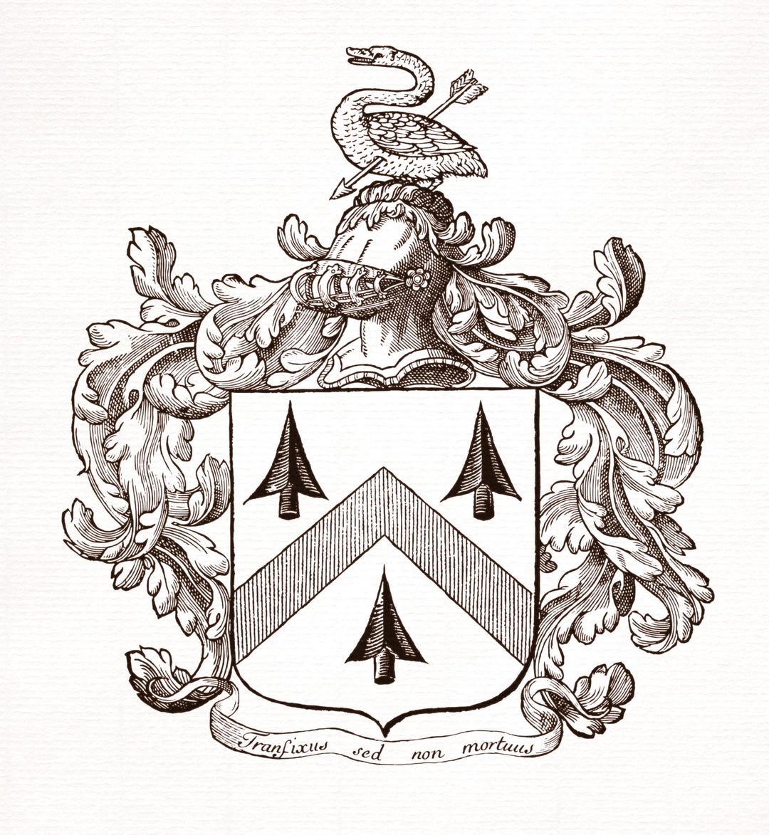 WALSH - Breathnach of Castlehale - Clan - Coat of Arms - 16th/17th ...