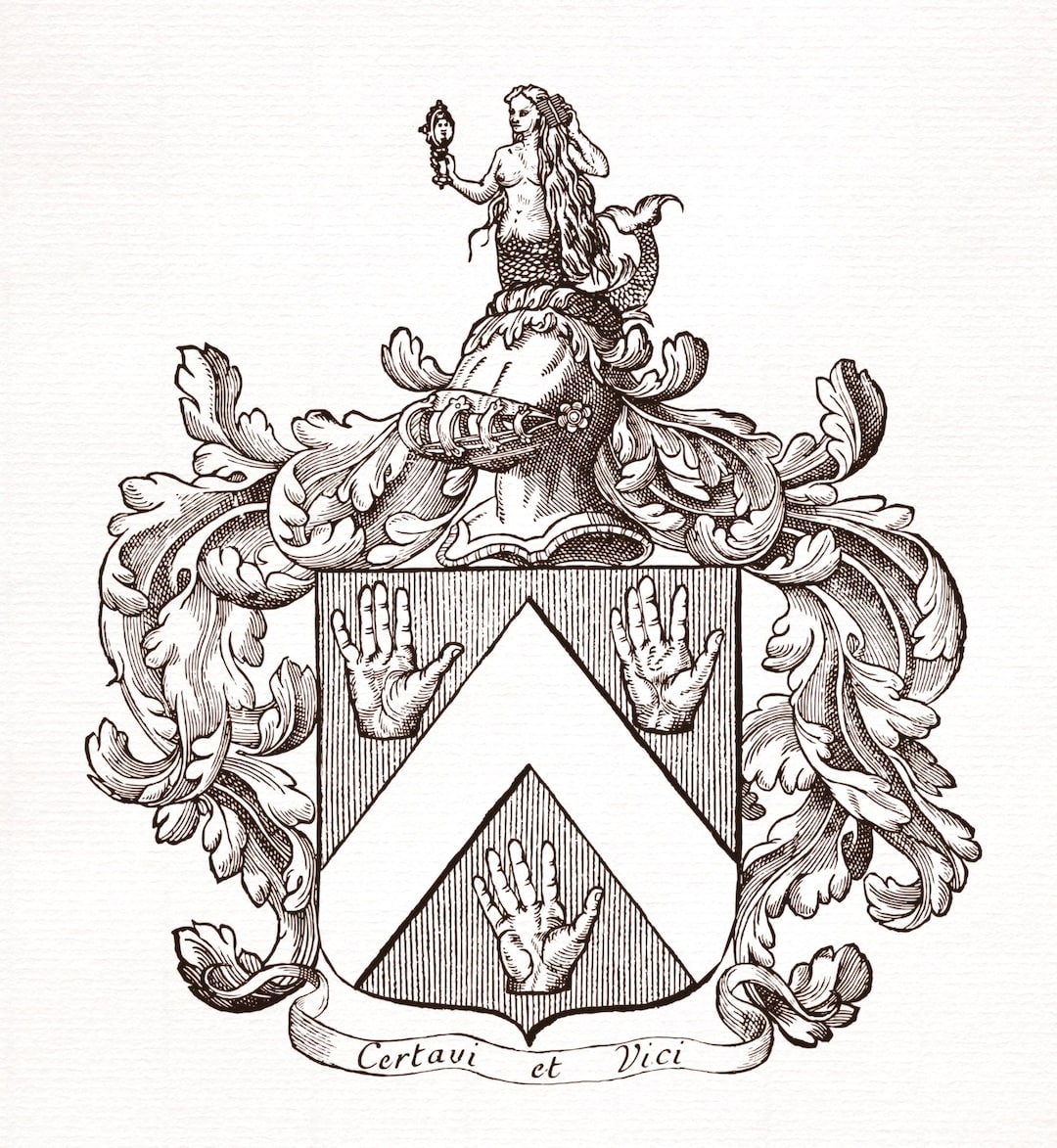 BYRNE - Clan - Coat of arms - 16th/17th century style in Black and ...