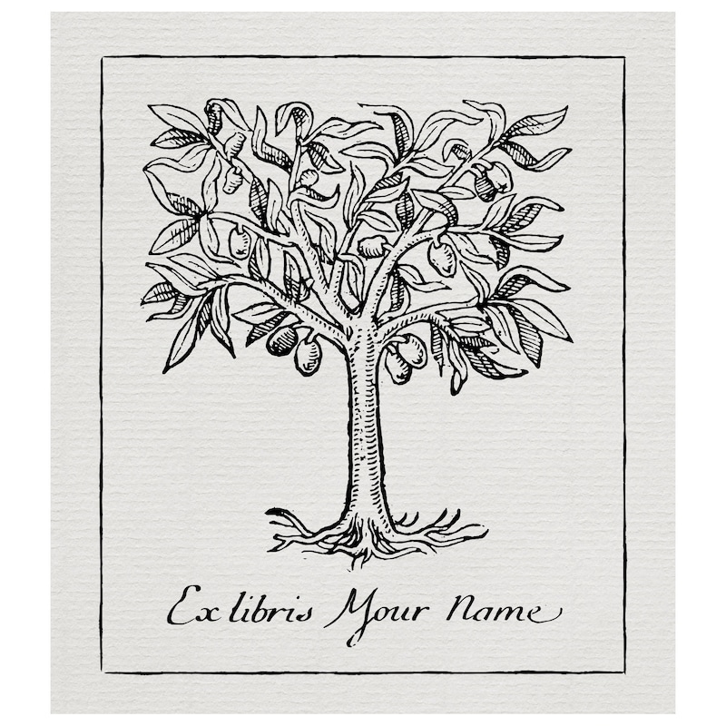 Ex Libris Bookplates - Etsy