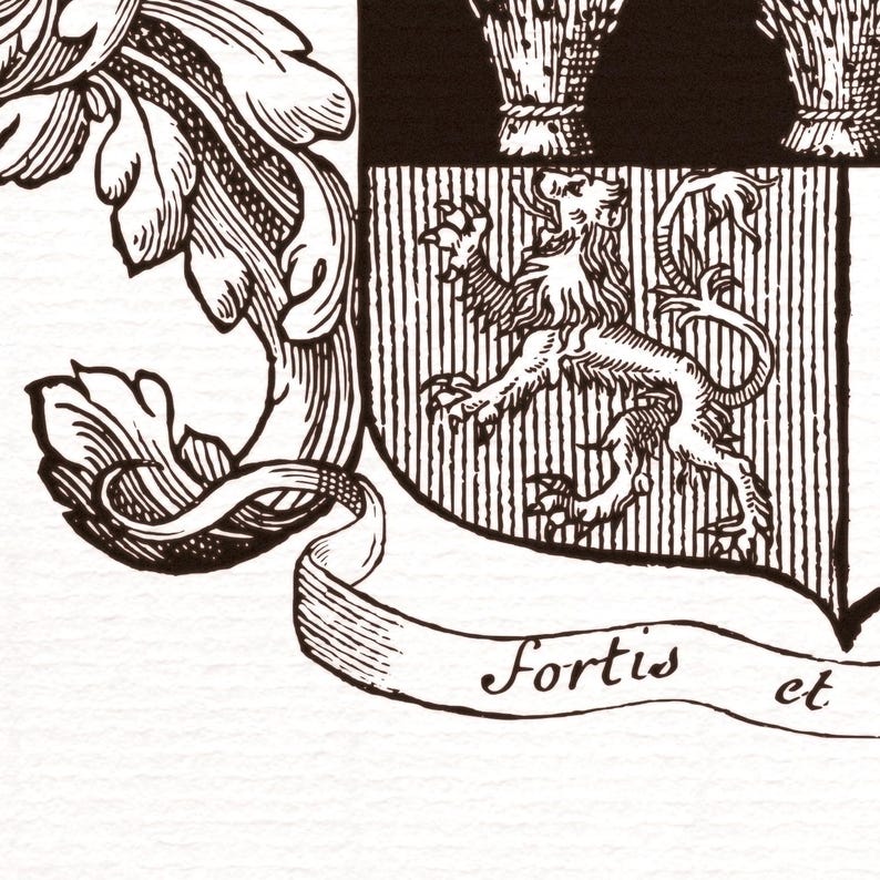MURPHY of Muskerry - Clan - Coat of Arms - 16th/17th Century Style in ...