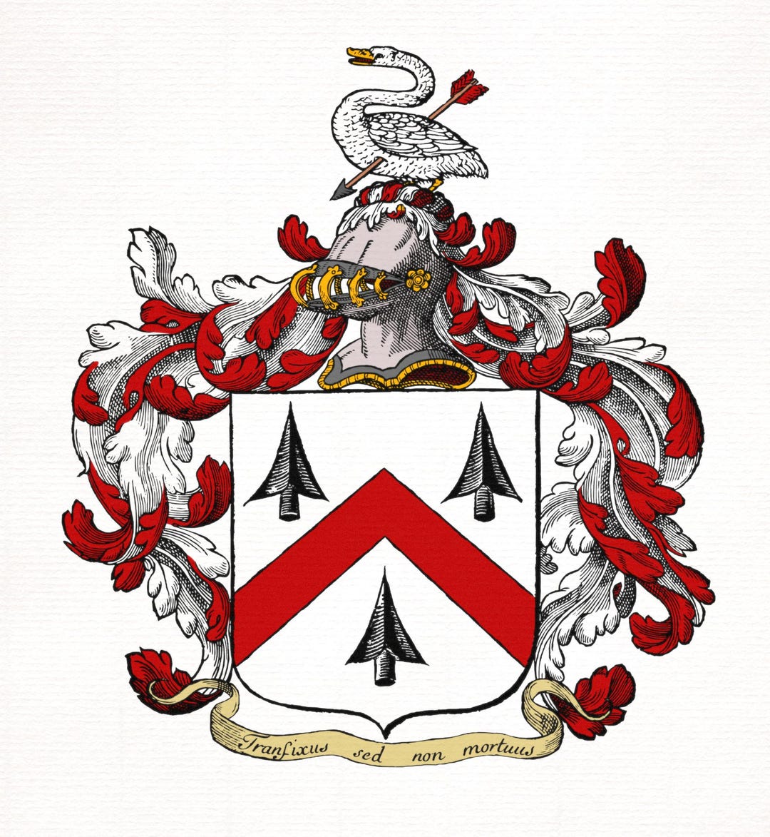 WALSH - Breathnach of Castlehale - Clan - Coat of Arms - 16th/17th ...