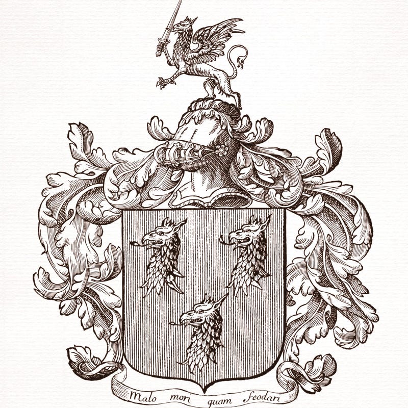 Ryan Coat of Arms - Etsy