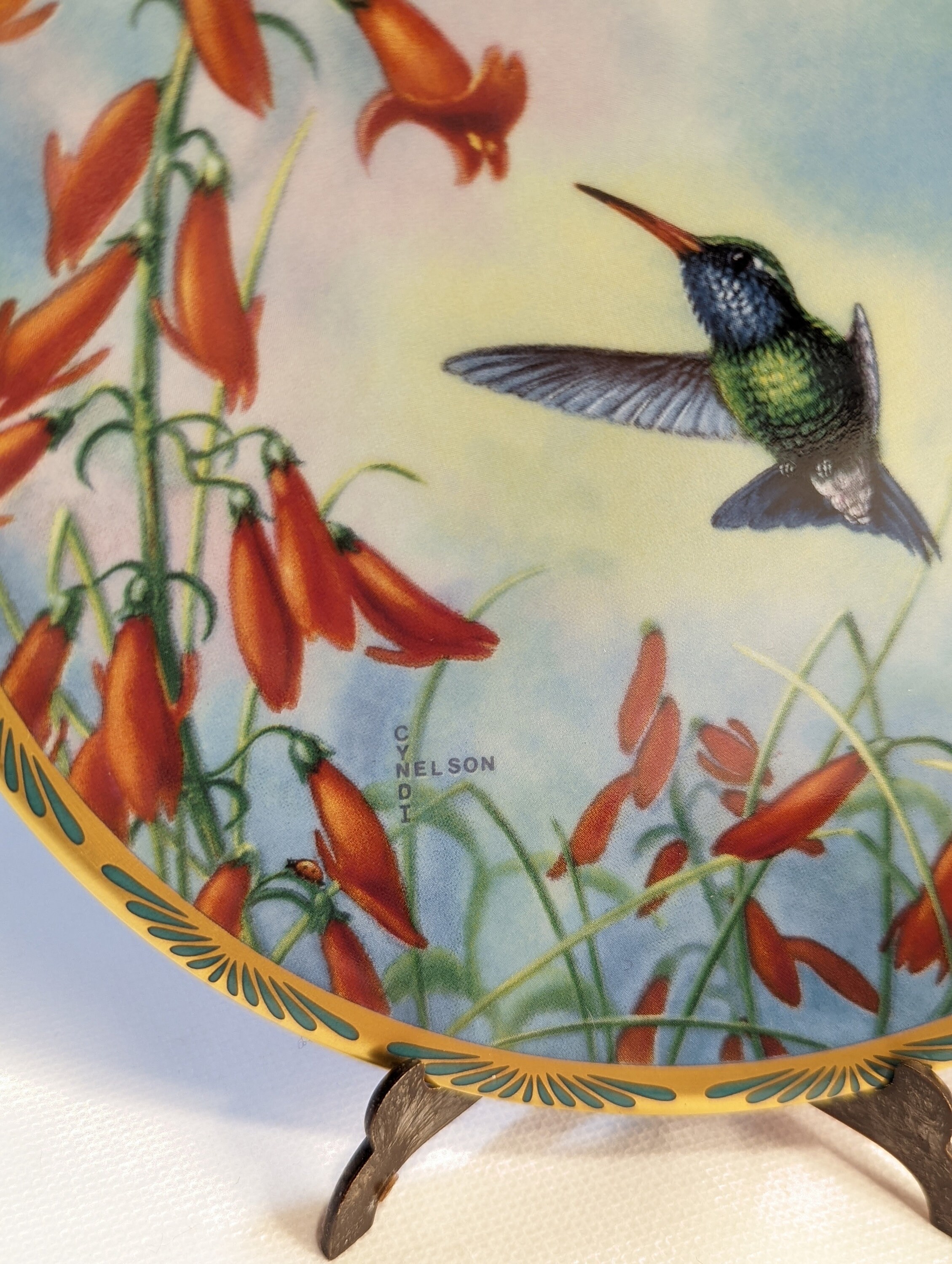 Cyndi Nelson Gems of Nature: the Beauty of Hummingbirds "broad-billed ...