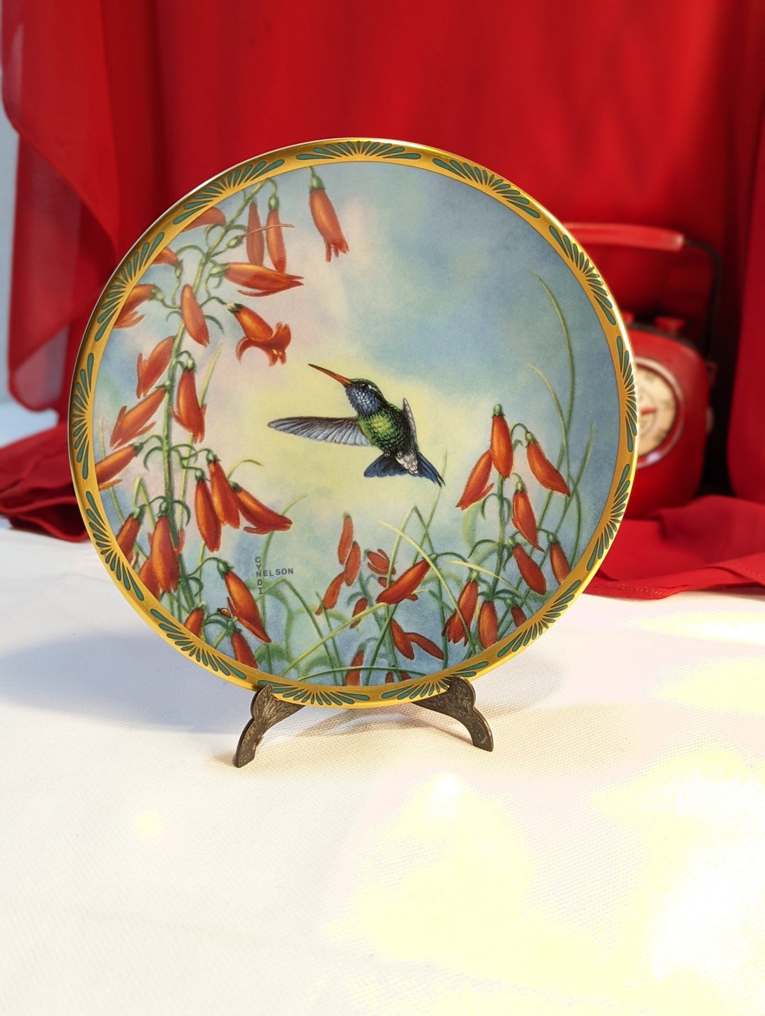 Cyndi Nelson Gems of Nature: the Beauty of Hummingbirds "broad-billed ...