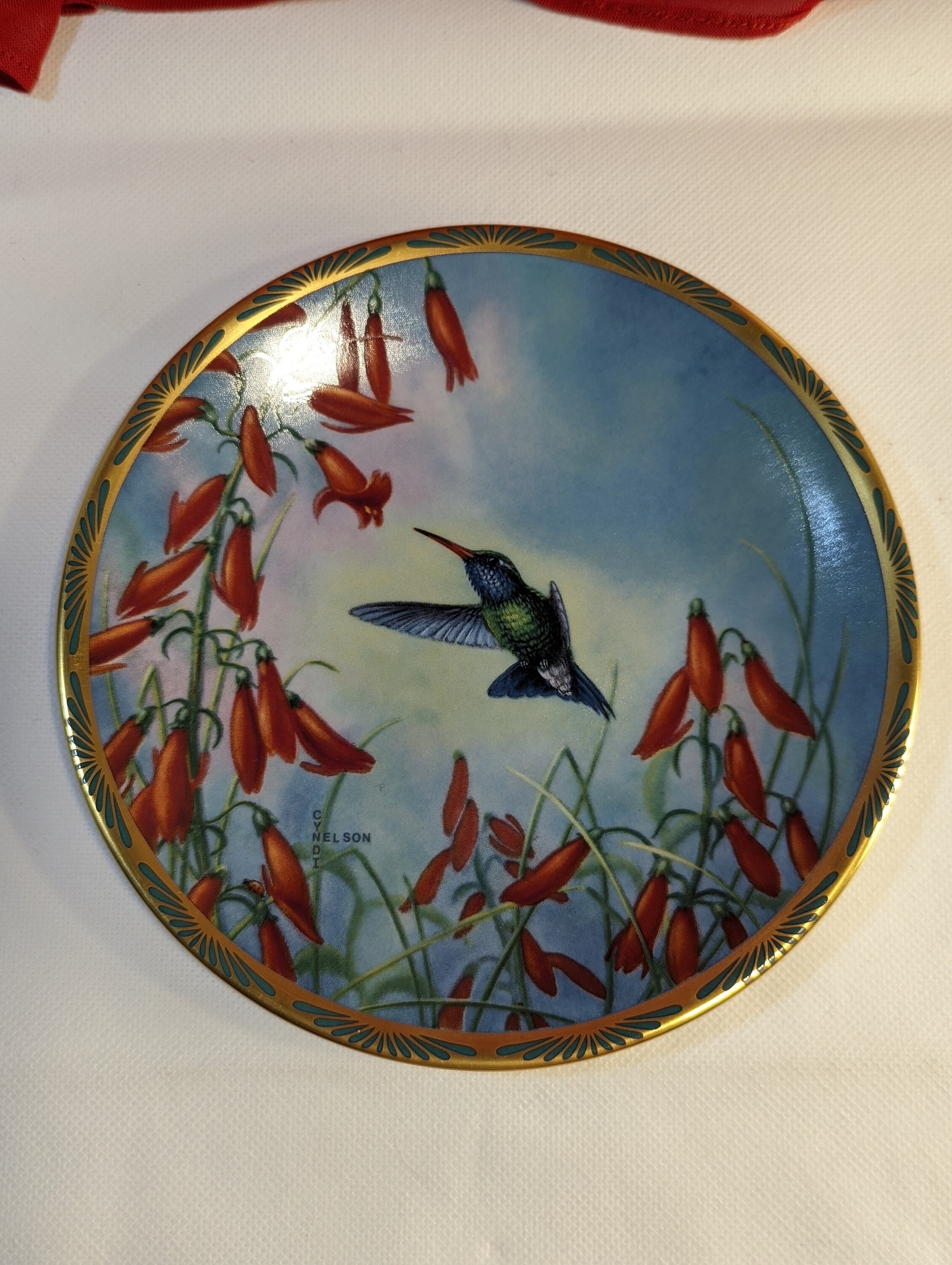 Cyndi Nelson Gems of Nature: the Beauty of Hummingbirds "broad-billed ...