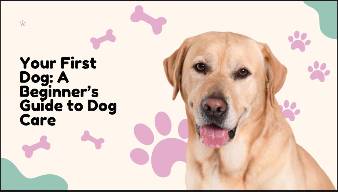 Your First Dog Care Guide | Beginner Puppy & Dog Care PDF | New Dog ...