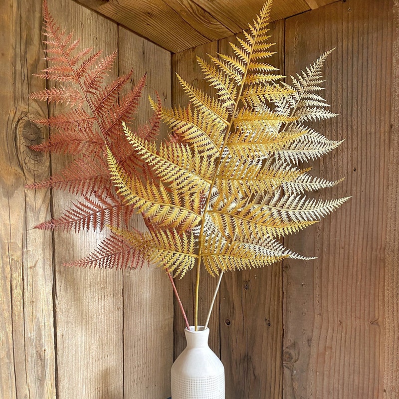 Fern - Etsy UK