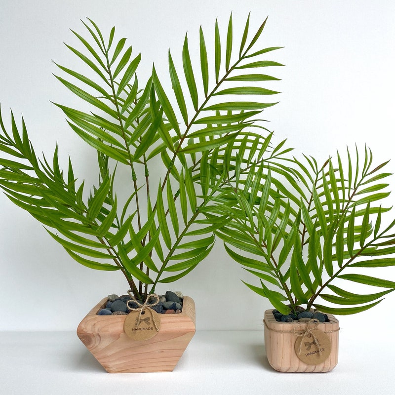 Wood Palm Tree - Etsy