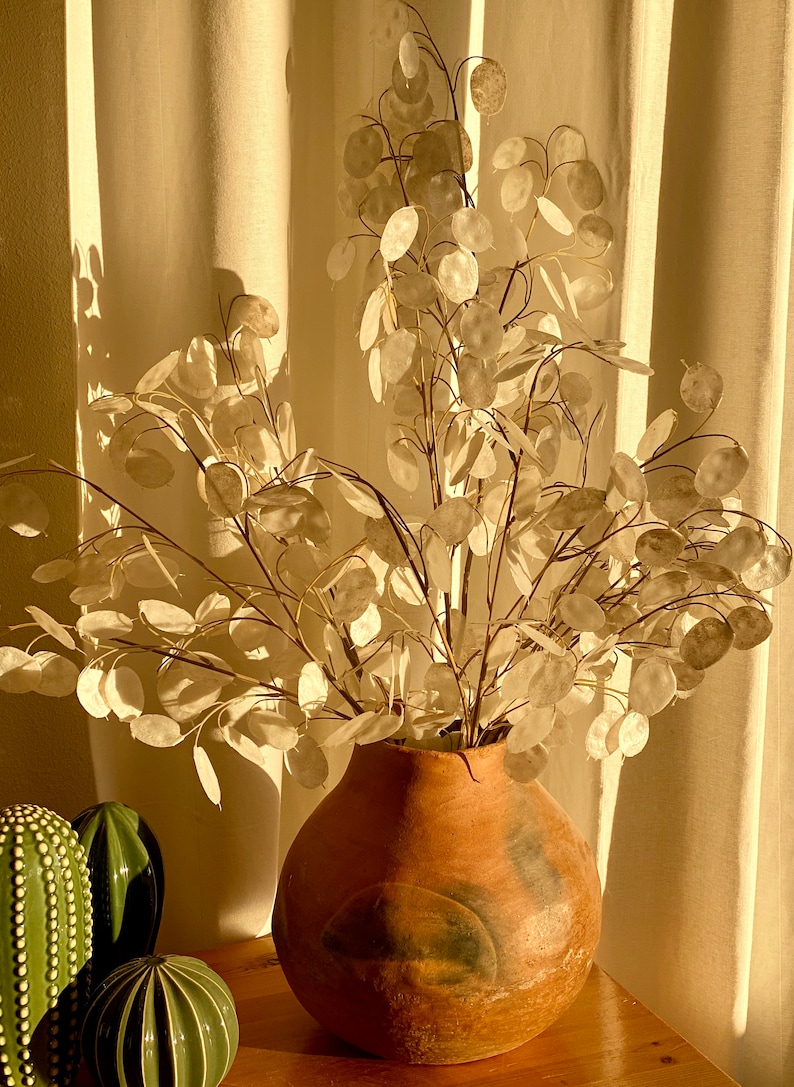 Artificial Silver Dollar Spray Eucalyptus Stem 30 Faux - Etsy