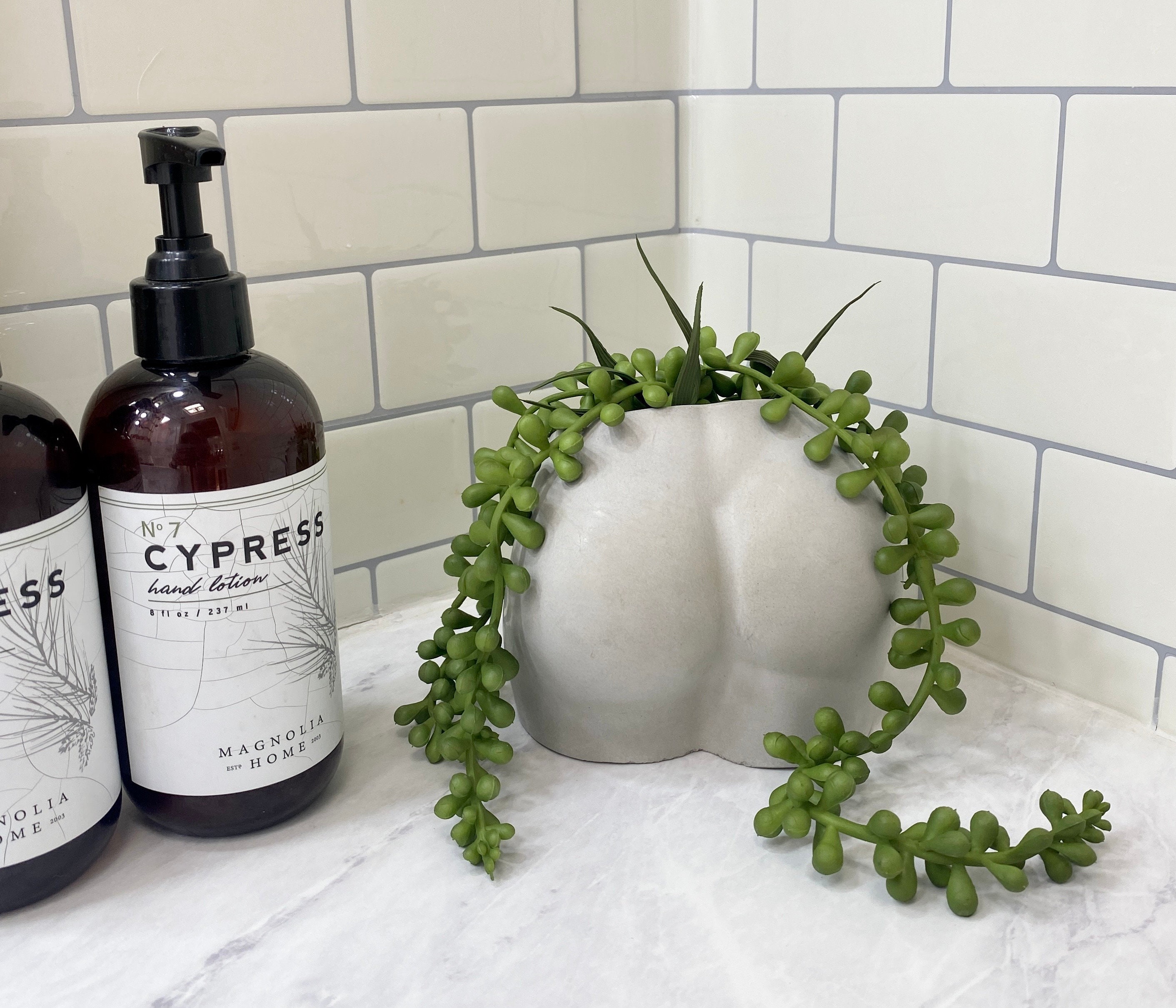 Cement Butt or Boob Pot With Faux Burro's Tail Succulent - Etsy