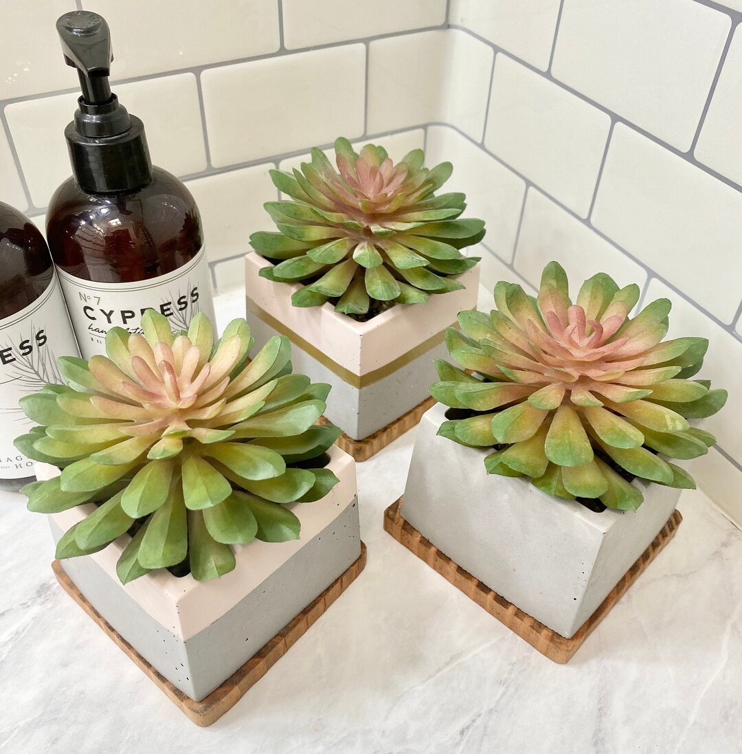 Artificial Succulent Plant in Handmade Concrete Pot With Wood Tray ...