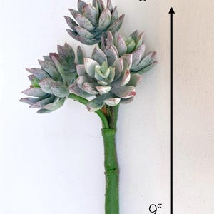 Artificial Succulent Pick With a Purple Touch - Echeveria Real Touch ...