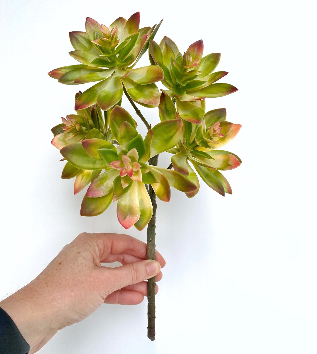 High Quality Artificial Succulent Pick With a Purple Touch - Real Touch ...