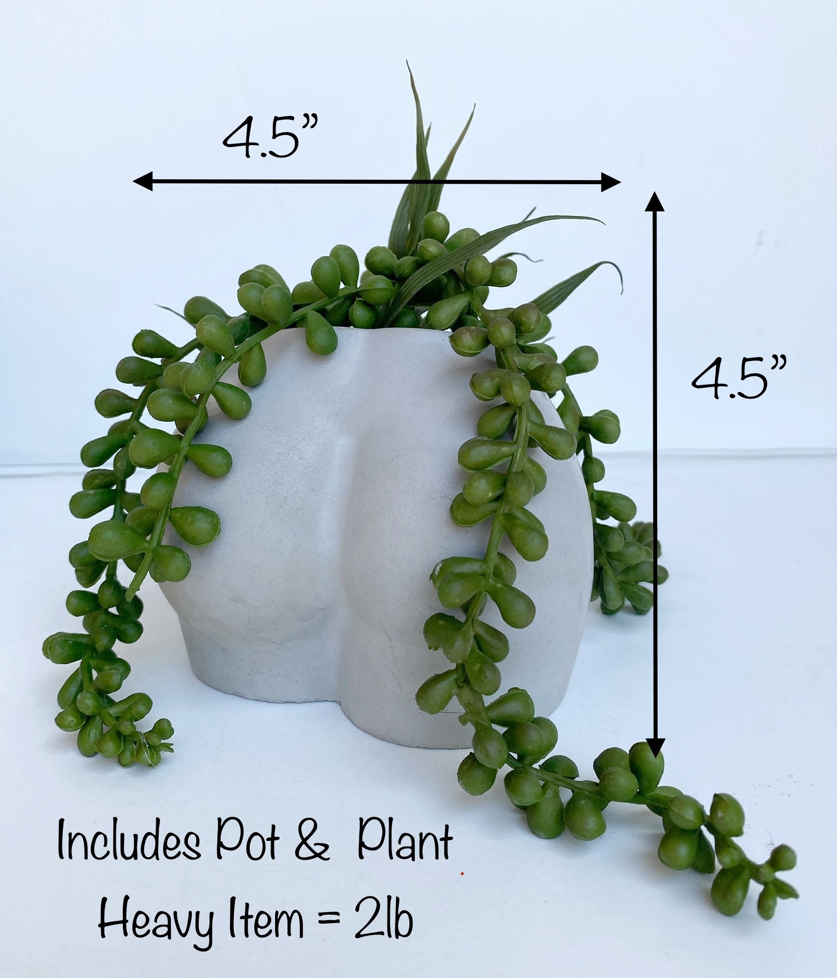 Cement Butt or Boob Pot With Faux Burro's Tail Succulent - Etsy