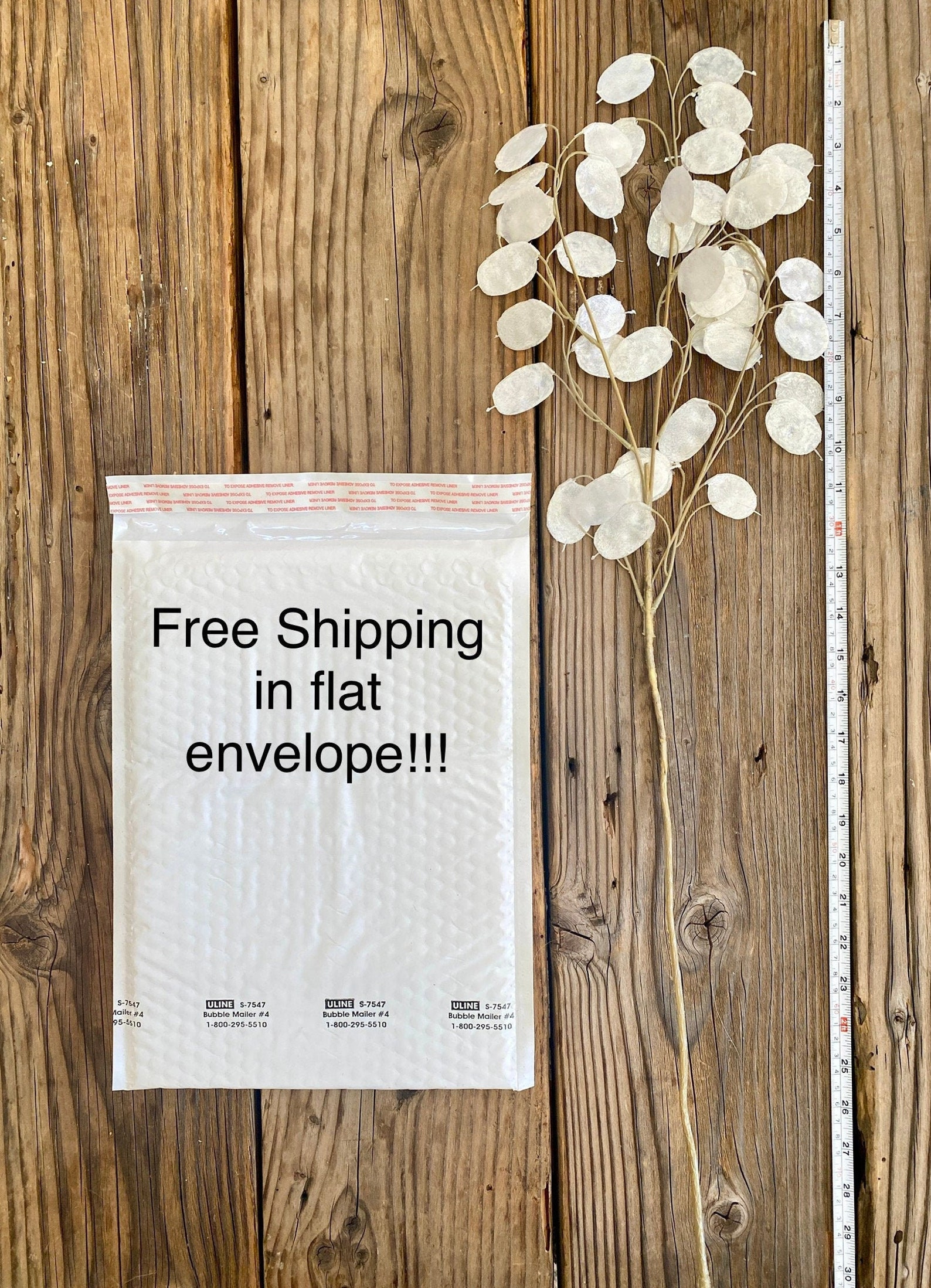 Artificial Silver Dollar Spray Eucalyptus Stem 30 Faux - Etsy