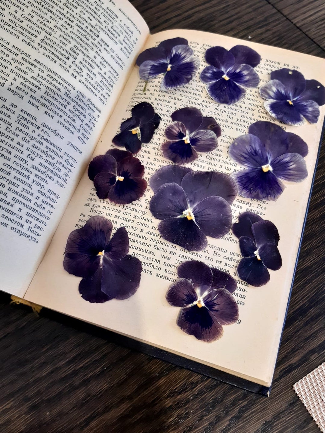 Set of Flowers, Pressed Violet 10 Pcs. Dry Flowers for Resin - Etsy