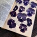 Set of Flowers, Pressed Violet 10 Pcs. Dry Flowers for Resin - Etsy