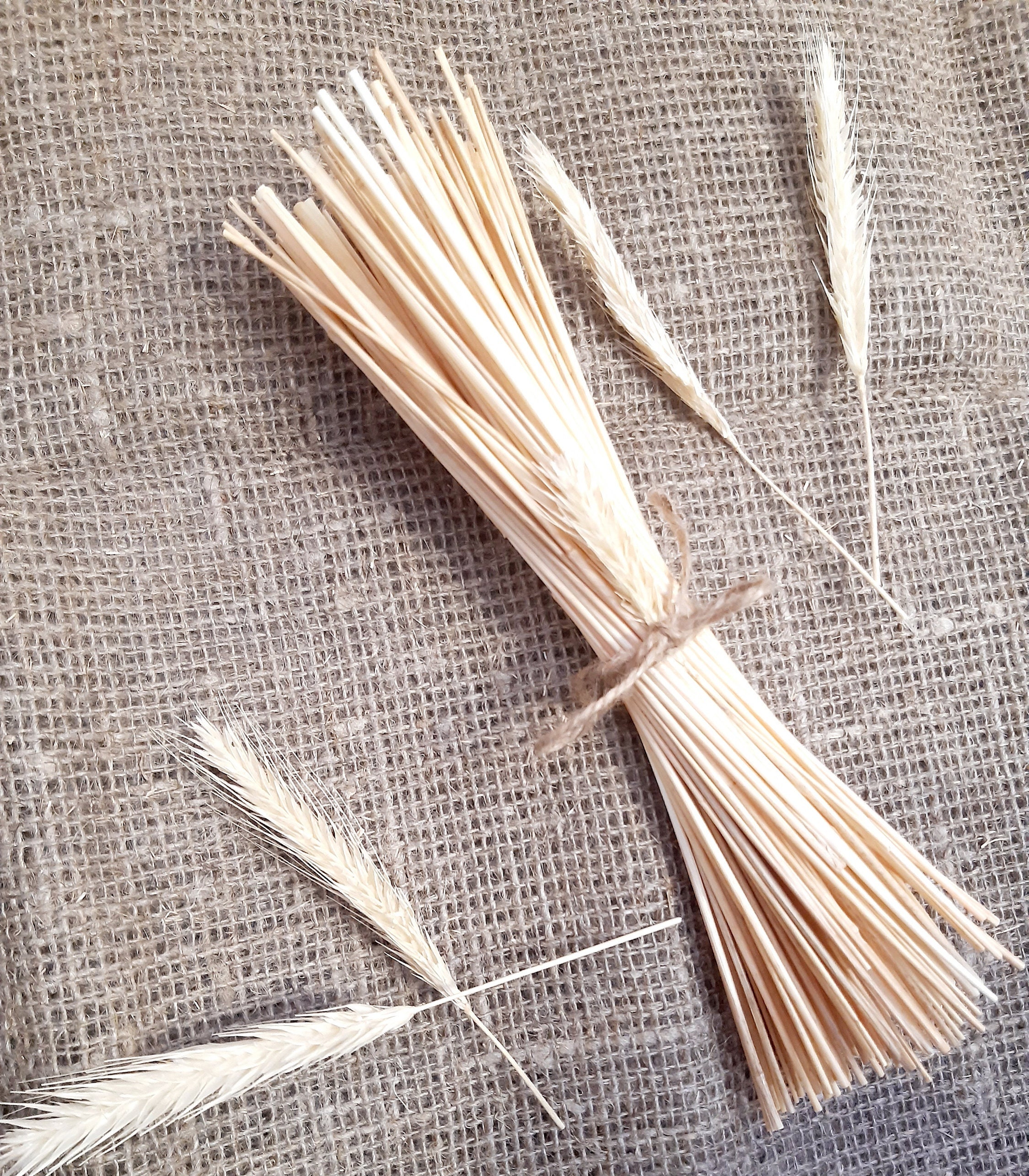 Long Dried Wheat Straws 100 Pcs, Stems for Crafts, for Floristry Home ...