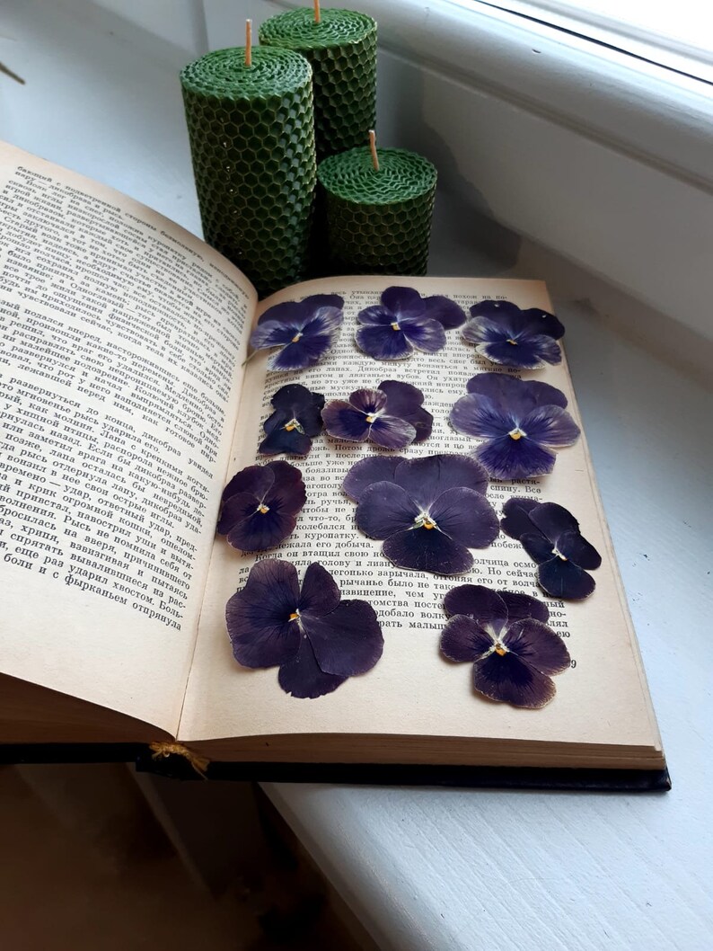 Set of Flowers Pressed Violet 10 Pcs. Dry Flowers for Resin - Etsy