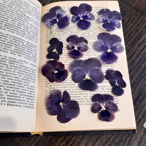 Set of Flowers, Pressed Violet 10 Pcs. Dry Flowers for Resin - Etsy