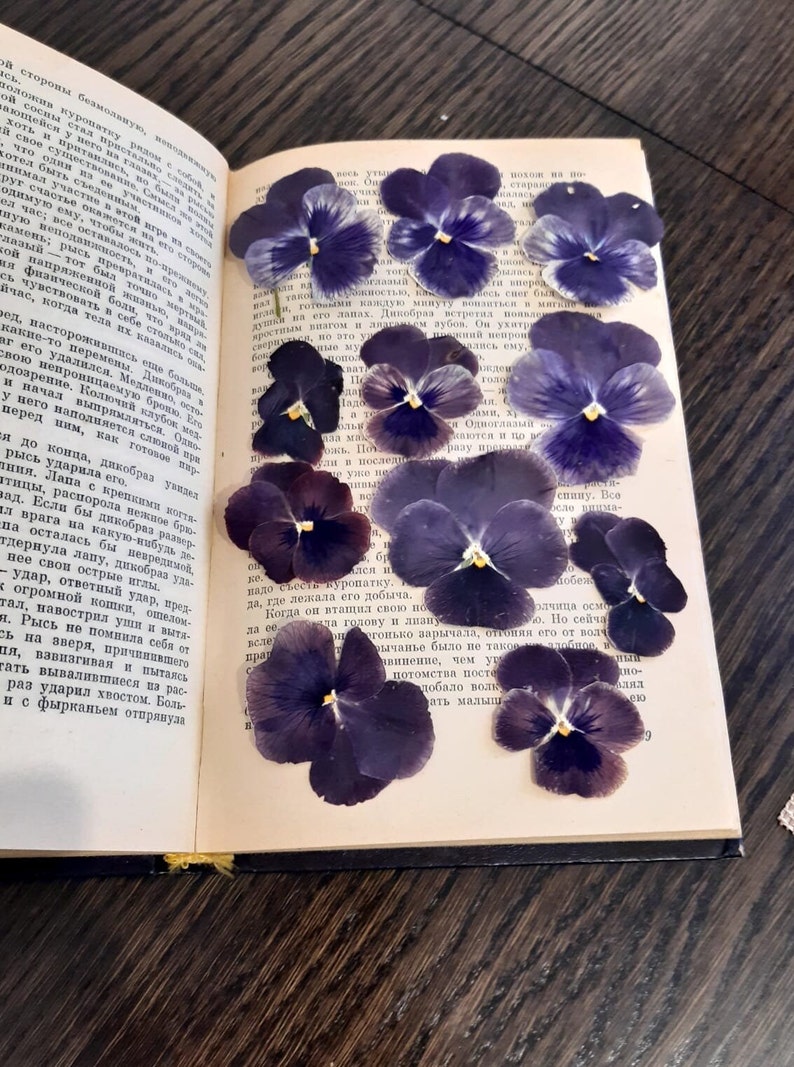 Set of Flowers, Pressed Violet 10 Pcs. Dry Flowers for Resin - Etsy