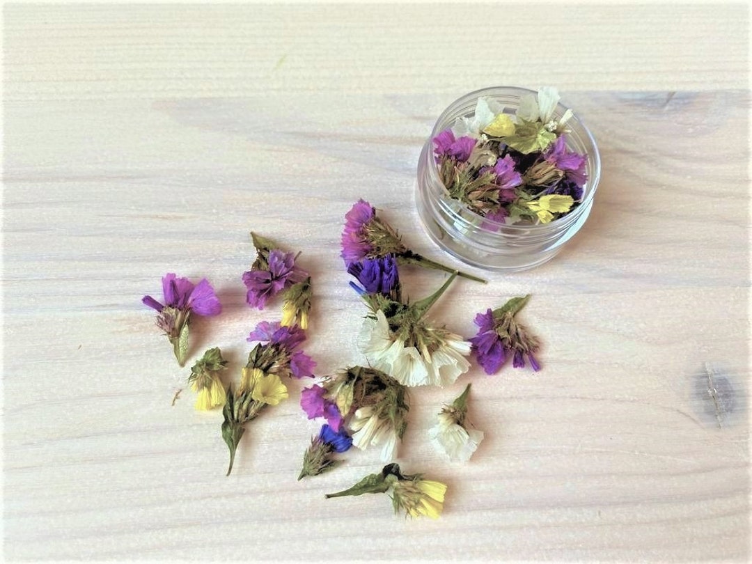 Dried Statice Flowers Dried Flowers for Decorating Resin - Etsy