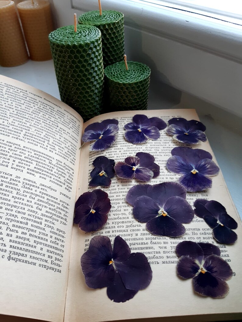 Set of Flowers, Pressed Violet 10 Pcs. Dry Flowers for Resin - Etsy