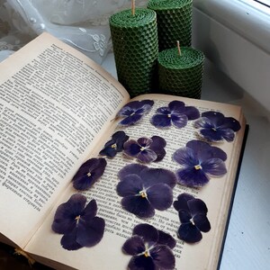 Set of Flowers, Pressed Violet 10 Pcs. Dry Flowers for Resin - Etsy