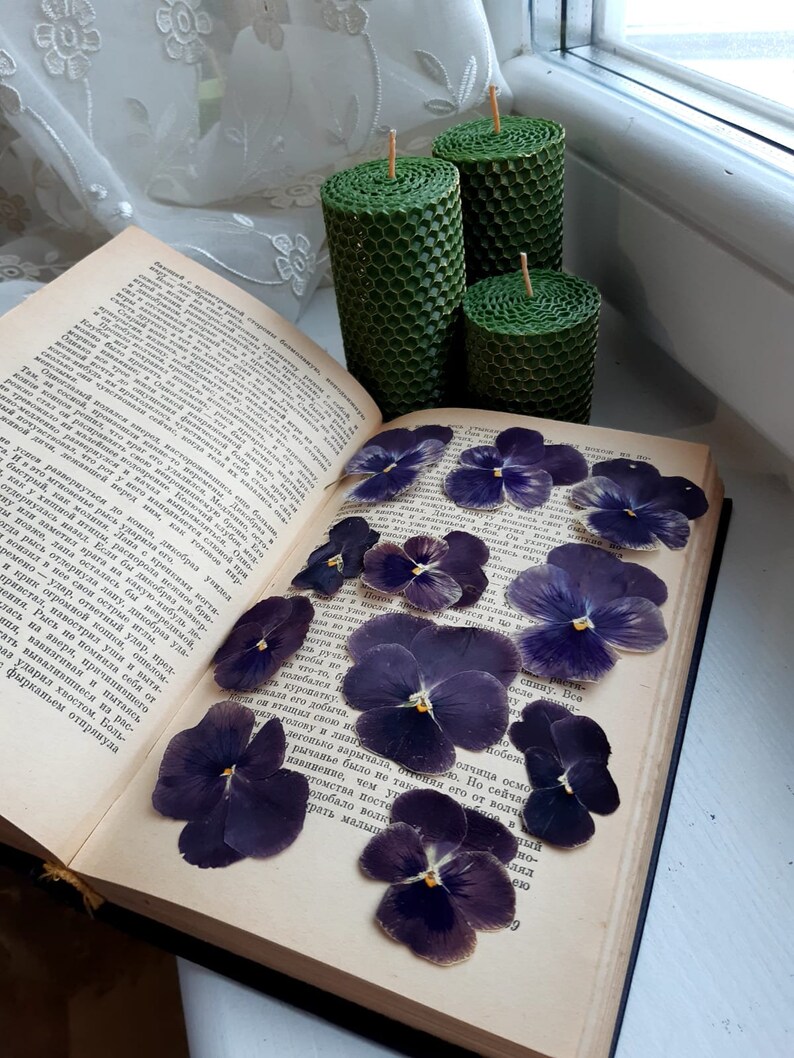 Set of Flowers Pressed Violet 10 Pcs. Dry Flowers for Resin - Etsy