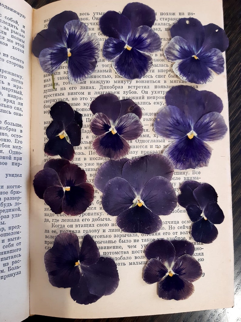Set of Flowers, Pressed Violet 10 Pcs. Dry Flowers for Resin - Etsy