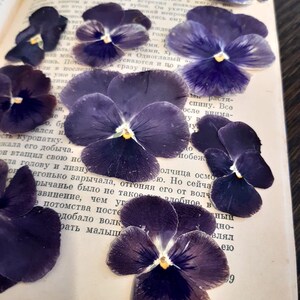 Set of Flowers, Pressed Violet 10 Pcs. Dry Flowers for Resin - Etsy