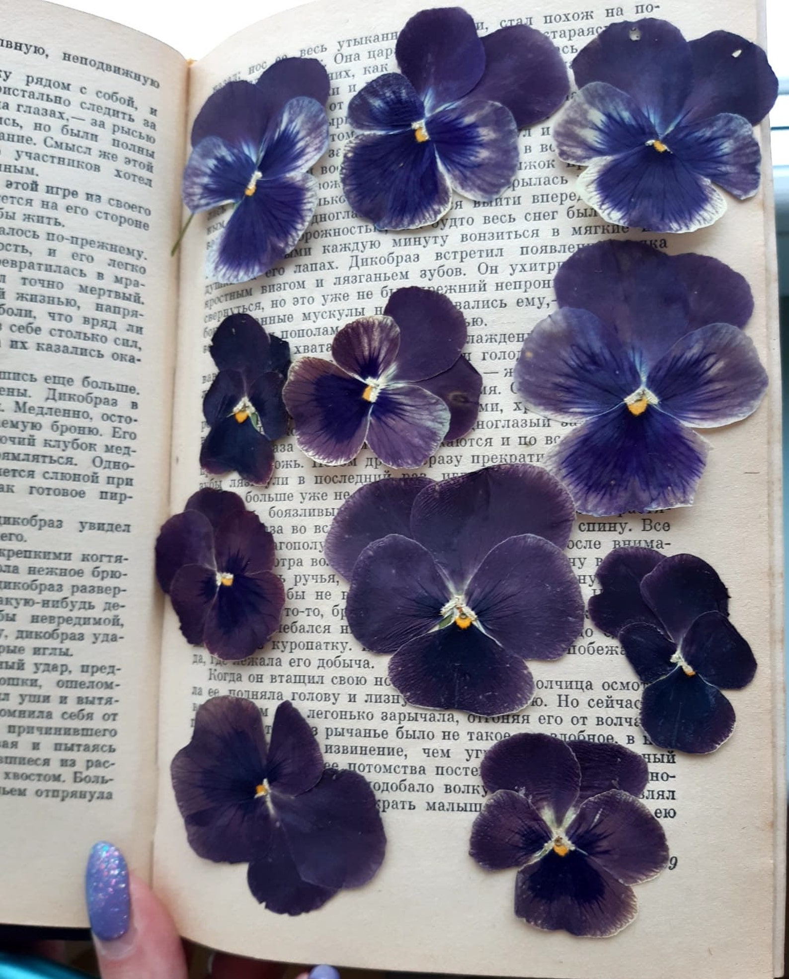 Set of Flowers, Pressed Violet 10 Pcs. Dry Flowers for Resin - Etsy