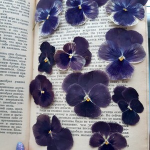 Set of Flowers, Pressed Violet 10 Pcs. Dry Flowers for Resin - Etsy