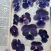 Set of Flowers, Pressed Violet 10 Pcs. Dry Flowers for Resin - Etsy