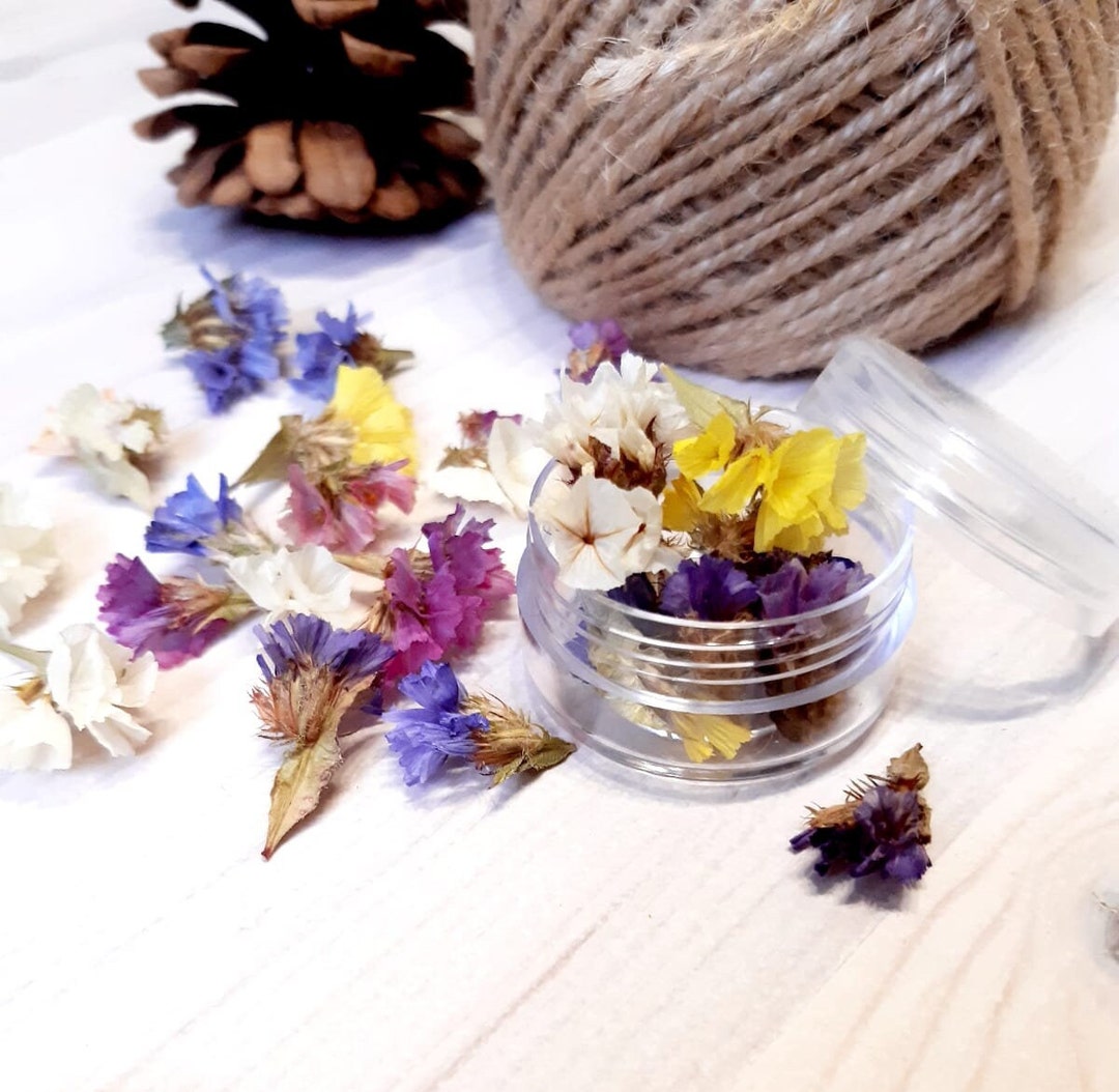 Dried Statice Flowers, Dried Flowers for Decorating Resin Crafts, Small ...