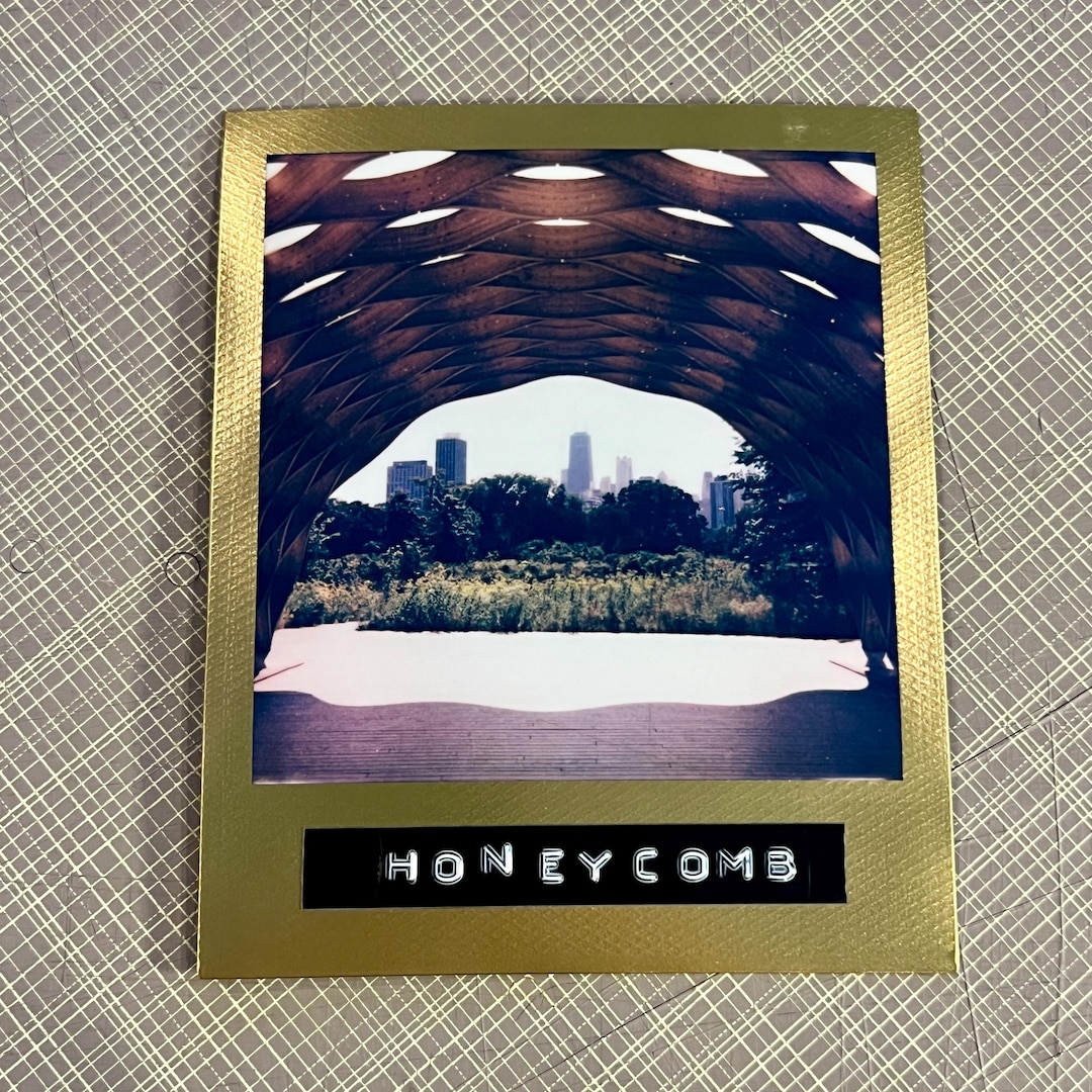 CHICAGO HONEYCOMB SKYLINE, Lincoln Park Limited Edition Original ...