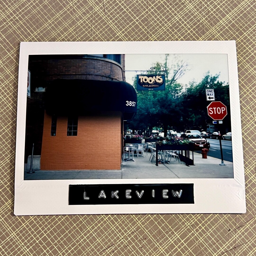 TOONS, Lakeview, Chicago Limited Edition Original Instant Film Photo 1/ ...
